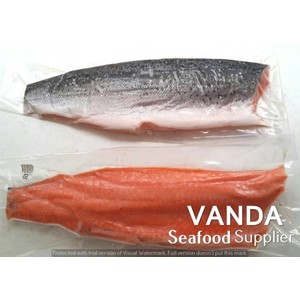 Jual Ikan Salmon Fillet Frozen 1,7 kg | Shopee Indonesia