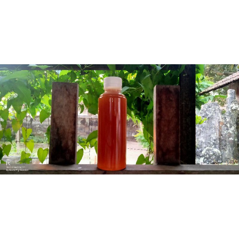 Jual Madu Trigona 250 ml | Shopee Indonesia