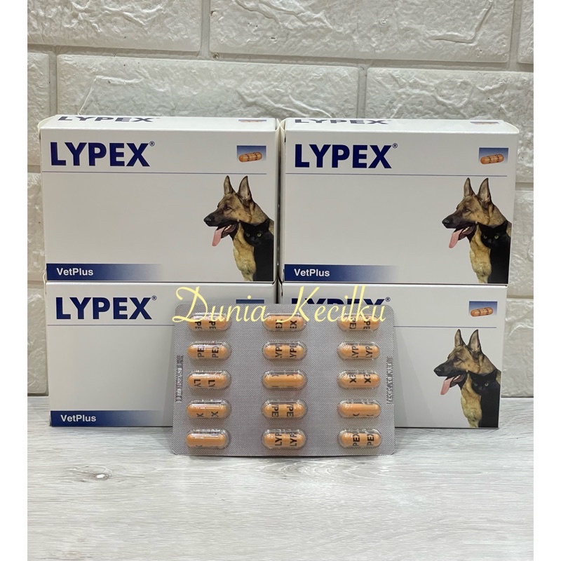 Jual Lypex Vetplus 1 Kapsul - Enzim Anti Diare Anjing Kucing Sakit ...
