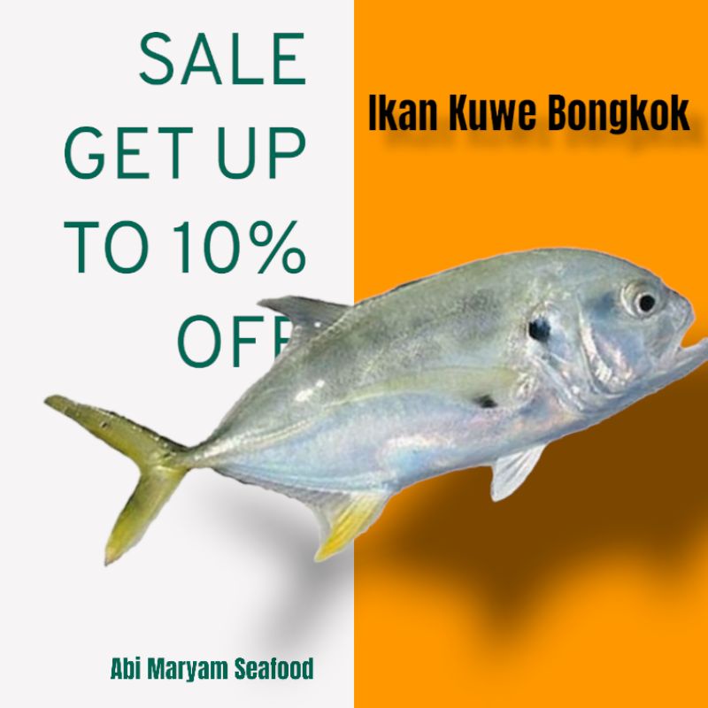 Jual Ikan Kuwe Bongkok Fresh Berkualitas 1kg | Shopee Indonesia