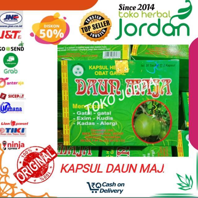Jual KAPSUL HERBAL OBAT GATAL DAUN MAJA KAPSUL MAJA | Shopee Indonesia