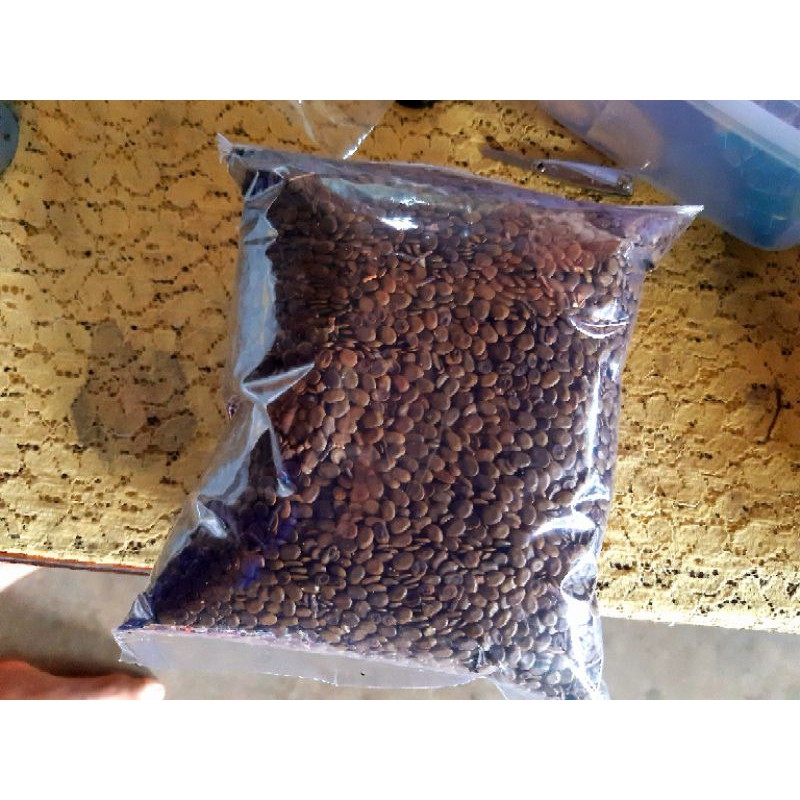 Jual biji sengon merah 1 kg | Shopee Indonesia