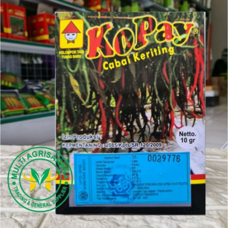 Jual Benih Bibit Cabe Merah Keriting Kopay 10gr (±2200 biji) Original ...
