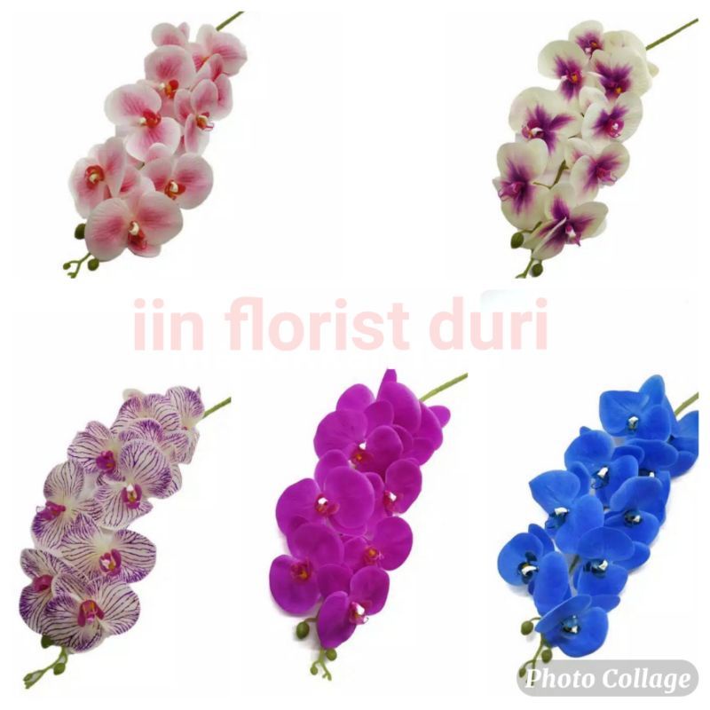 Jual bunga anggrek latex premium kuntum 9 - anggrek premium - grosir ...