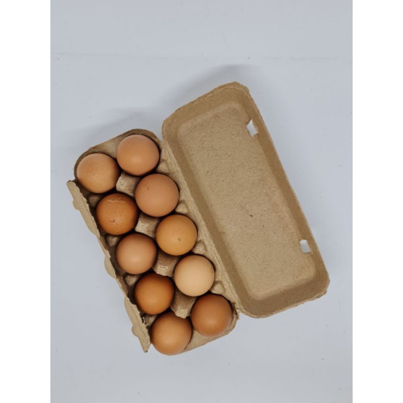 Jual TELUR AYAM NEGERI READY PER PACK ATAU PER KG | Shopee Indonesia