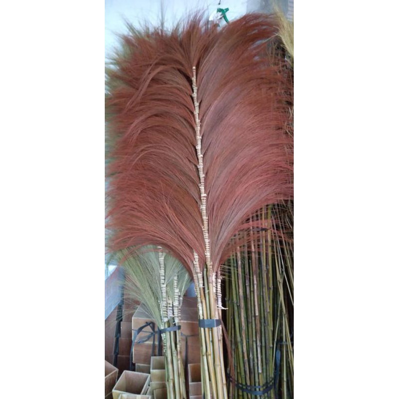 Jual rayung warna (2 set) | Shopee Indonesia