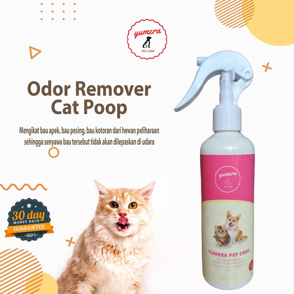Jual Penghilang Bau Kotoran Pup Pipis Kencing Kucing Anjing Kandanh ...