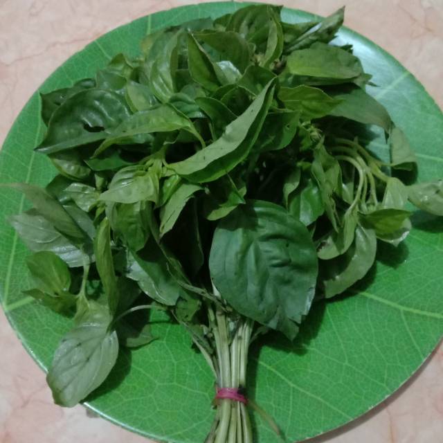 Jual Daun kemangi sayur bandung | Shopee Indonesia