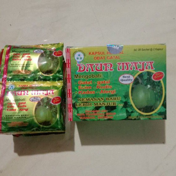 Jual daun maja original kemasan kotak | Shopee Indonesia