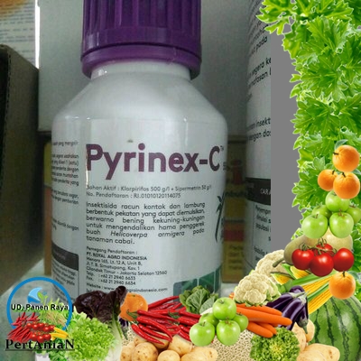 Jual Insektisida PYRINEX C 500ml | Shopee Indonesia