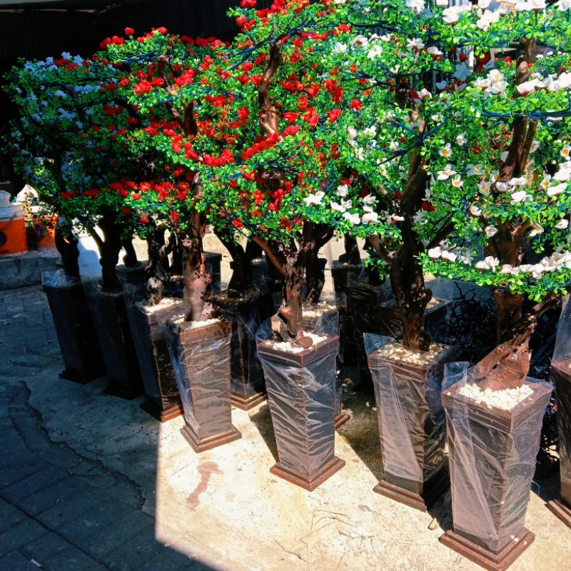 Jual TINGGI 140CM 11 KUNTUM X9 CABANG LENGKAP POT+ BEBATUAN SAKURA ...