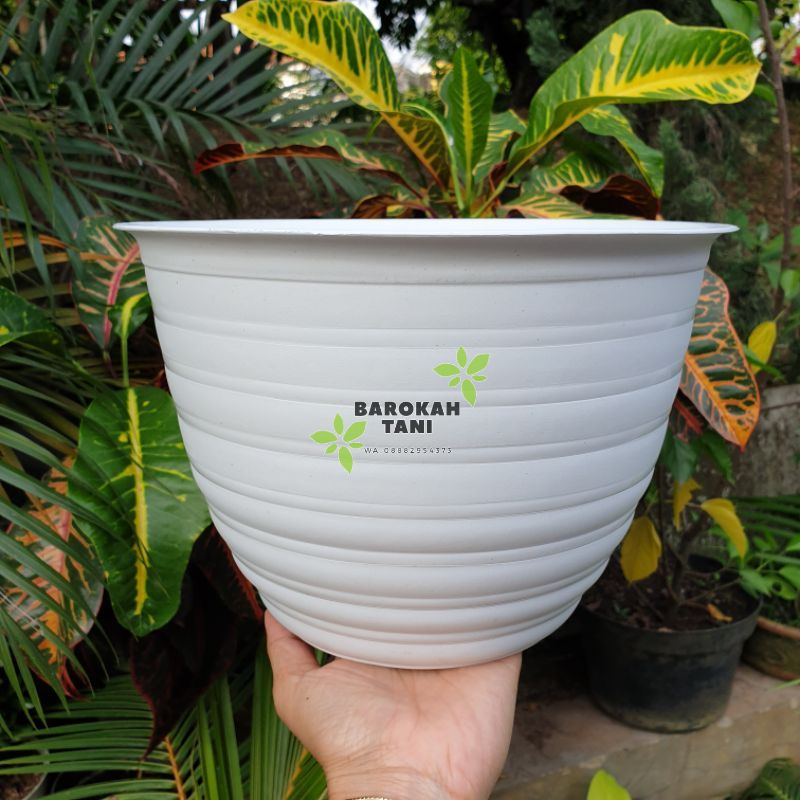Jual POT TAWON JM 25 PUTIH Pot Bunga Model Tawon Diameter 25 cm ...