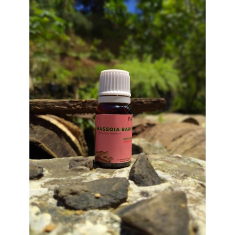 Jual 10 ml sampel - minyak kayu massoia / massoia bark oil (Cryptocarya ...