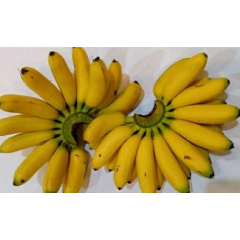Jual pisang barlin 7500 1sisir | Shopee Indonesia