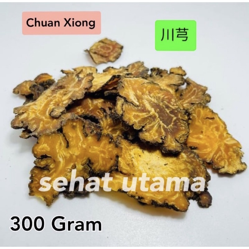 Jual Chuan Xiong Rhizoma Chuanxiong 川芎片 Chuan Kiong / Premium Sichuan ...