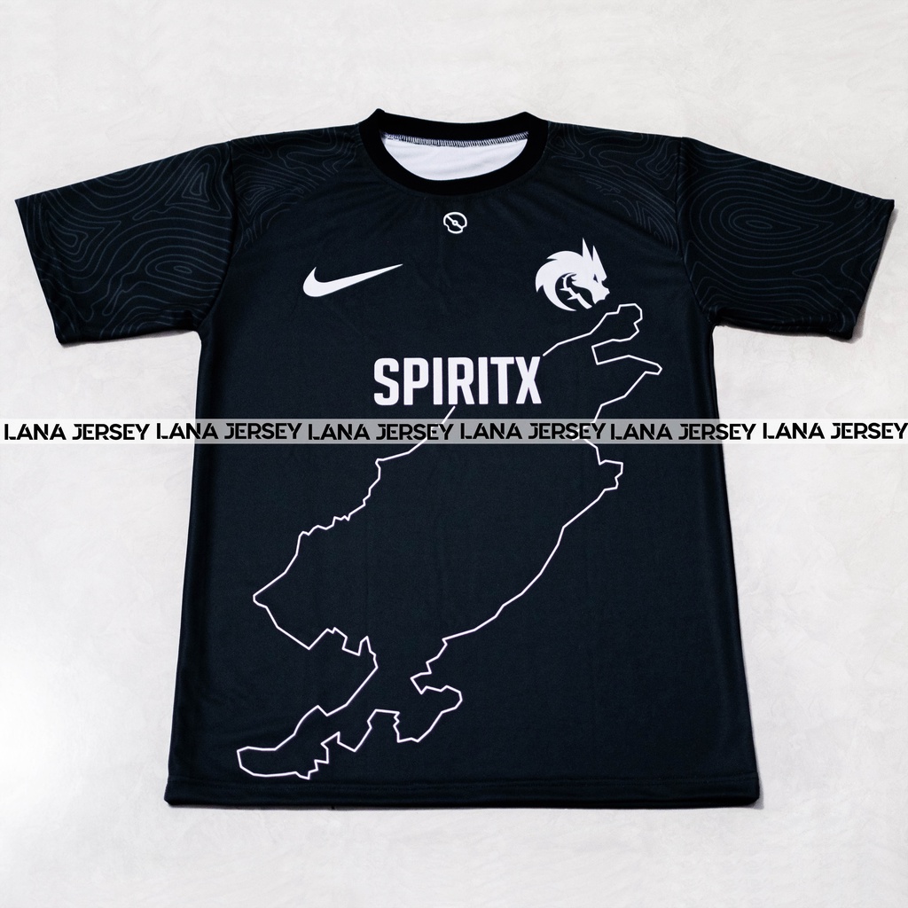 Jual JERSEY TEAM SPIRIT WINNER TI 10 GAME DOTA 2 ( FREE NICKNAME ...
