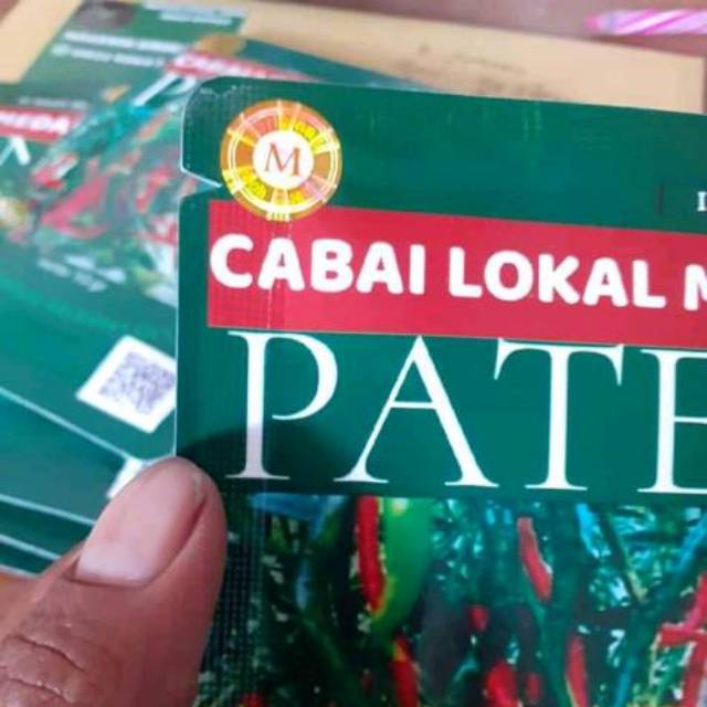 Jual 5 pcs PATEN Lokal | Bibit Cabe Paten Lokal Medan | Medan Local ...