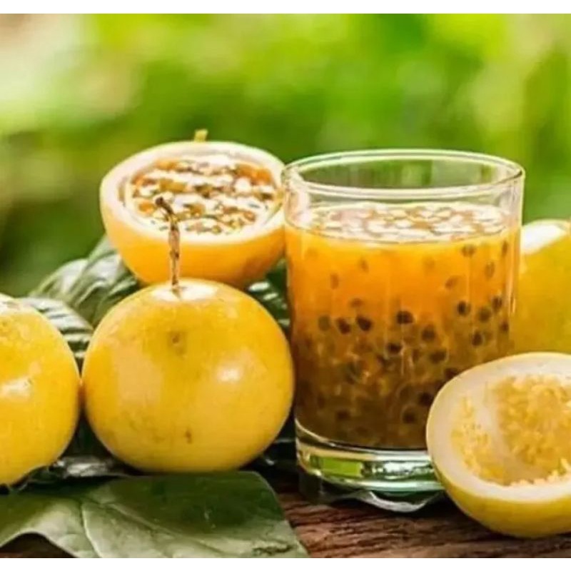 Jual BUAH MARKISA SEGAR 1KG | Shopee Indonesia