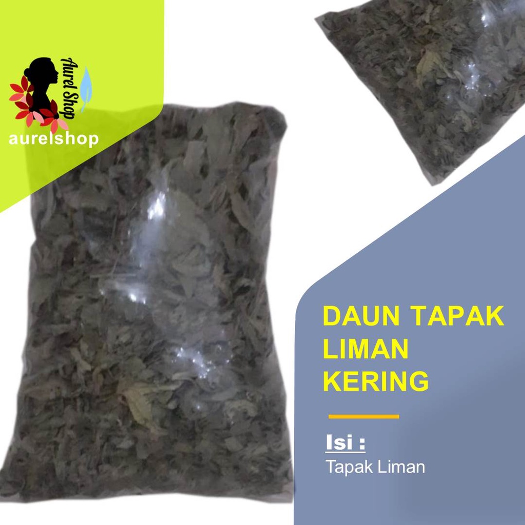 Jual Daun Tapak Liman Kering 1 kg Tapak Dara (Elephant Foot Leaf ...