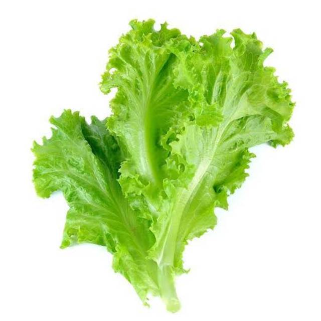 Jual 500gr / Selada Keriting / Sayur Selada / Lalapan Selada / 500gr ...