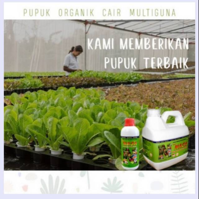 Jual POC NASA (PUPUK ORGANIK CAIR MULTIGUNA) KEMASAN | Shopee Indonesia