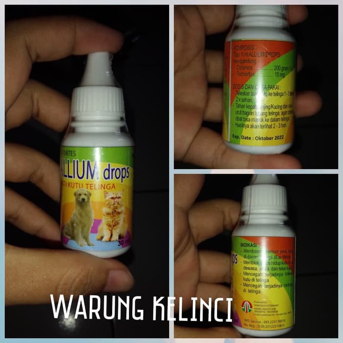 Jual Kutu Telinga Obat Anti Kutu Telinga Hewan Allium Drops Ear Mites ...