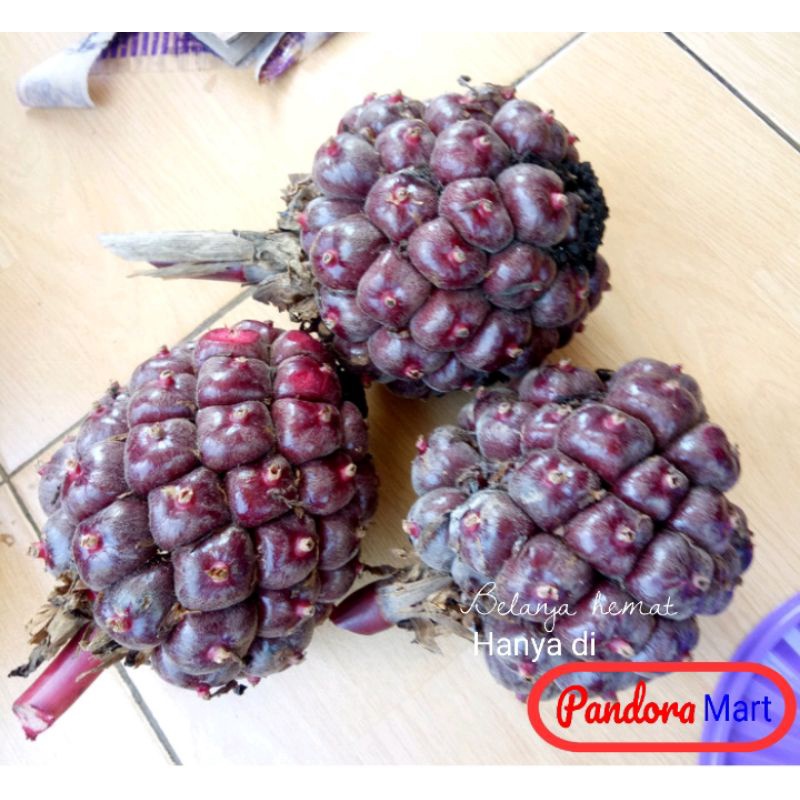 Jual honje segar / Buah honje / buah kecomberang 1kg | Shopee Indonesia