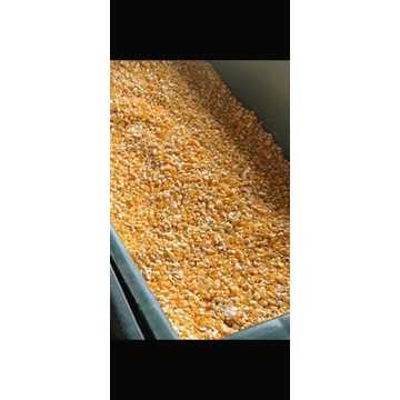 Jual jagung giling / jagung pecah pakan ternak kemasan 1kg | Shopee ...