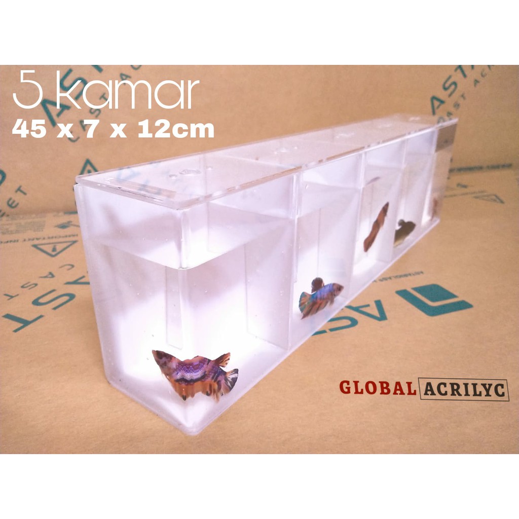 Jual 11.11 SOLITER / SOLITER AKRILIK CUPANG / AQUARIUM AKRILIK ...