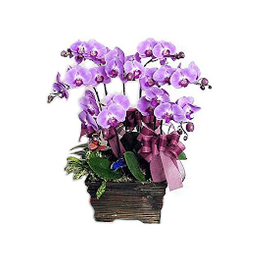 Jual Karangan Bunga Meja Bunga Anggrek Bunga Vas Table Flower BAG24 ...