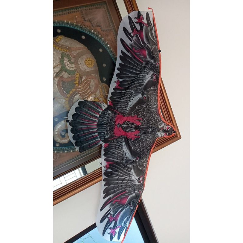 Jual real Picture layang-layang bentuk burung elang 3 dimensi | Shopee ...