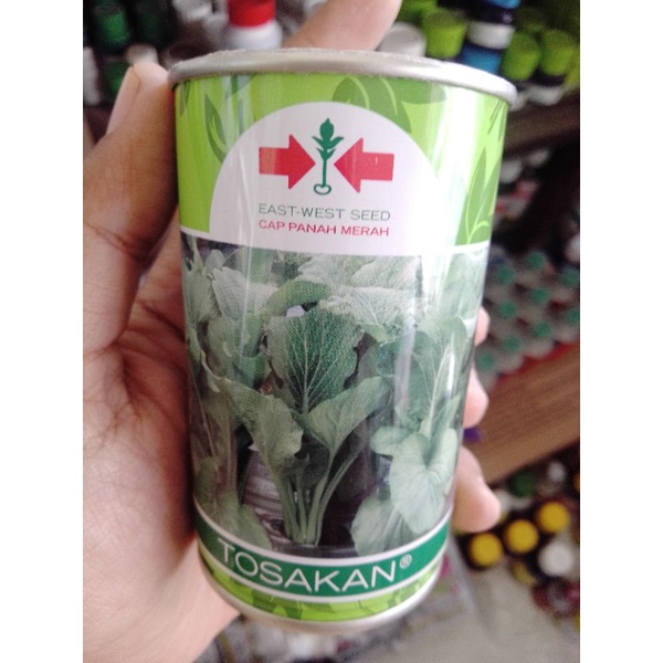 Jual (COD)BENIH CAISIM/CESIM/SAWI HIJAU KEMASAN KALENG | Shopee Indonesia