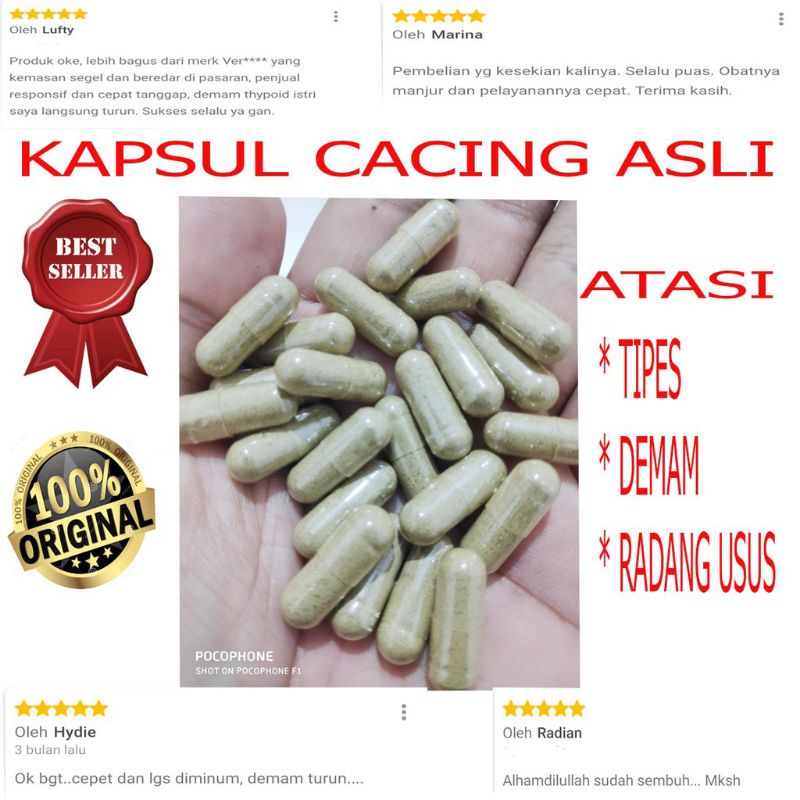 Jual KAPSUL CACING / OBAT CACING TANAH ASLI ISI 30 CAPSUL | Shopee ...