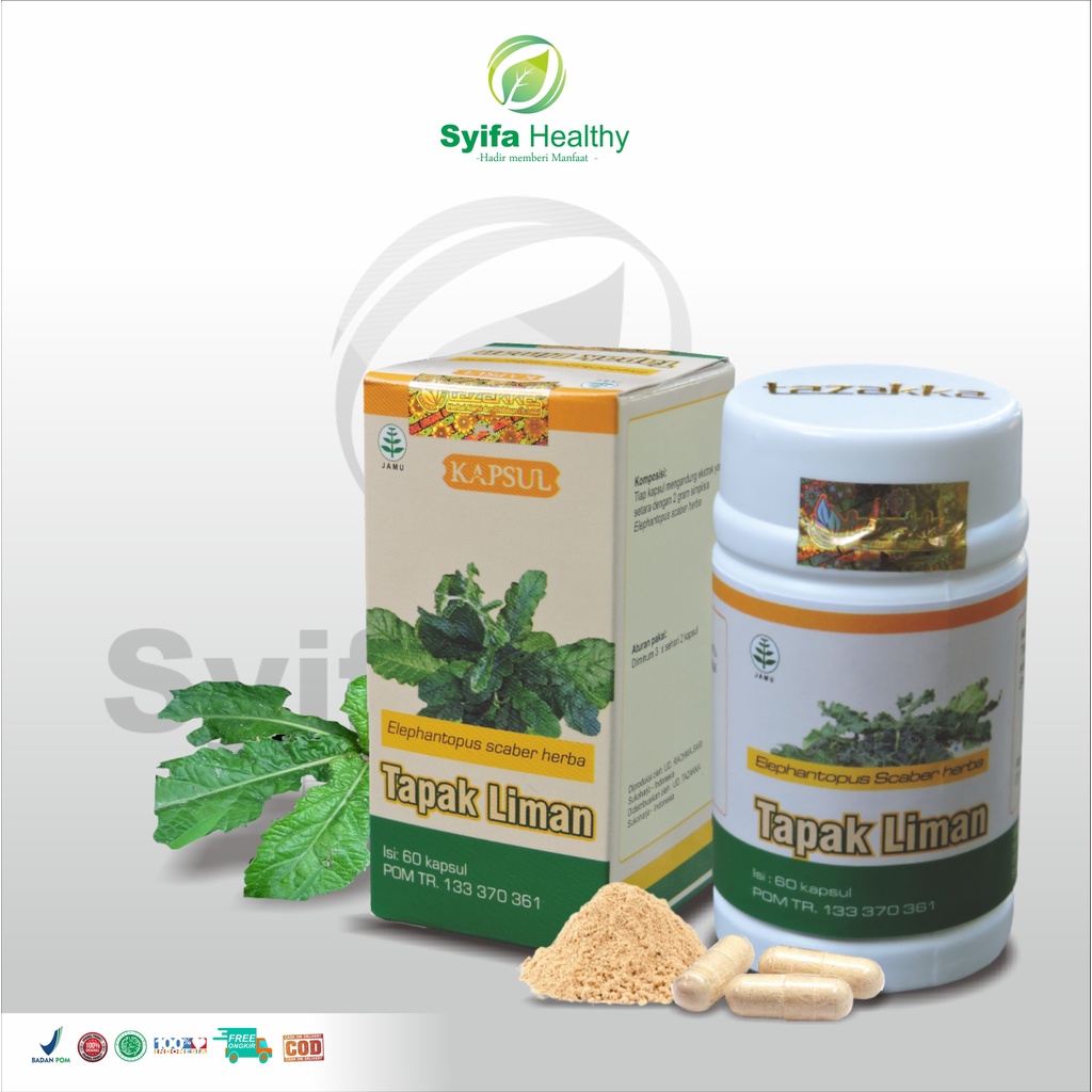Jual Obat untuk Peradangan Herbal DAUN TAPAK LIMAN Tazakka isi 60 ...