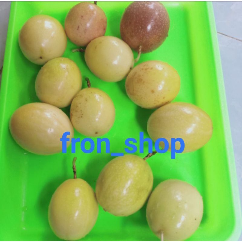 Jual BUAH MARKISA FREH | BUAH MARKISA KUNING SEGAR (500gr) | Shopee Indonesia