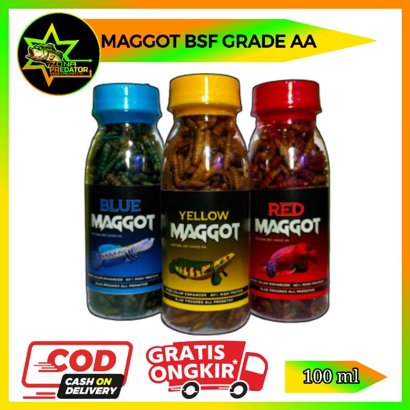 Jual Maggot Bsf Maggot Kering Pakan Ikan Predator Kemasan Botol 100 ml ...