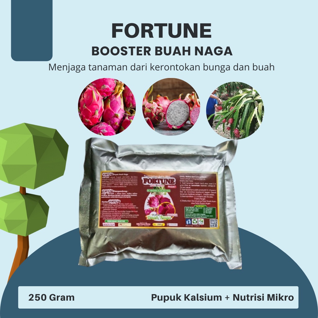 Jual Pupuk Pelebat Buah Naga, Booster Buah Naga Agar Berbuah Lebat, Fortune Buah Naga, Pupuk ...