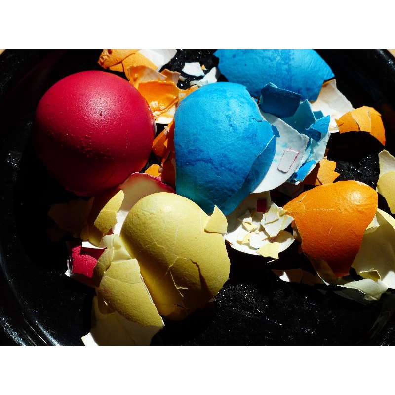 Jual Kulit telur warna warni | Shopee Indonesia Jual Kulit telur warna warni | Shopee Indonesia