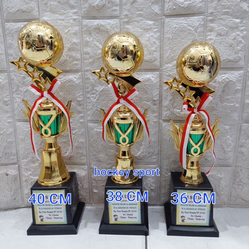 Jual Trophy Piala Bola Futsal 1 SET 123 ( B.17 ) | Shopee Indonesia