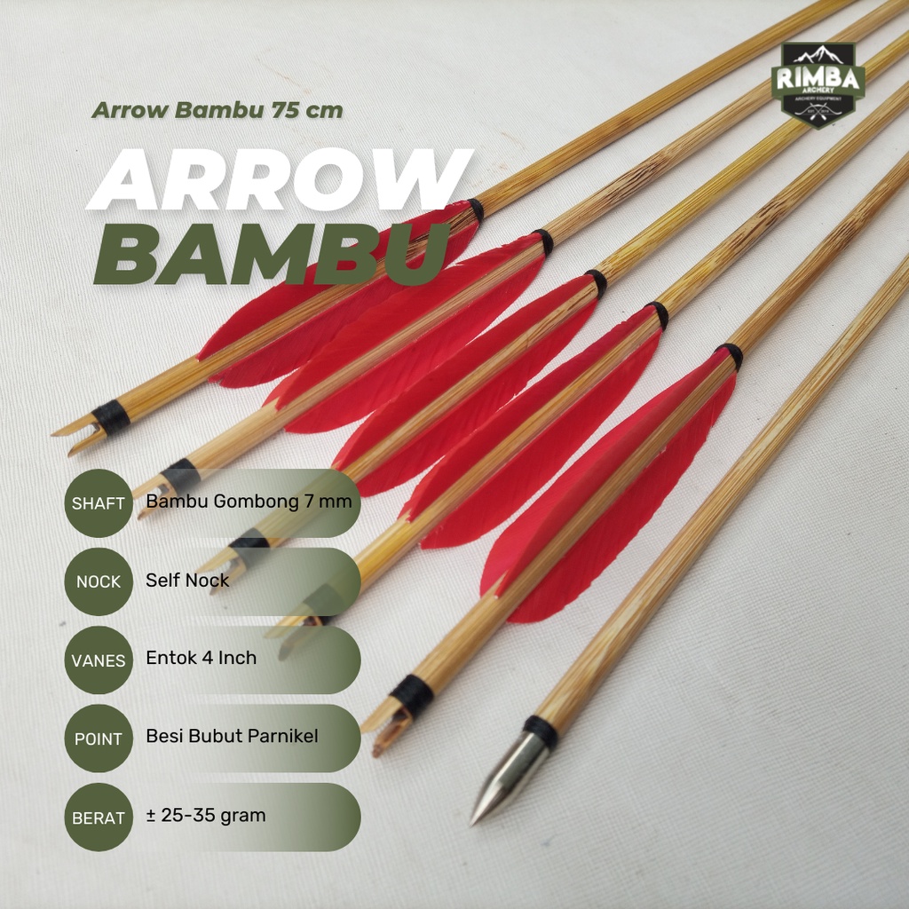 Jual Arrow Bambu Vanes Entok / Arrow Bambu Gombong / Arrow Bambu Isi 6 ...