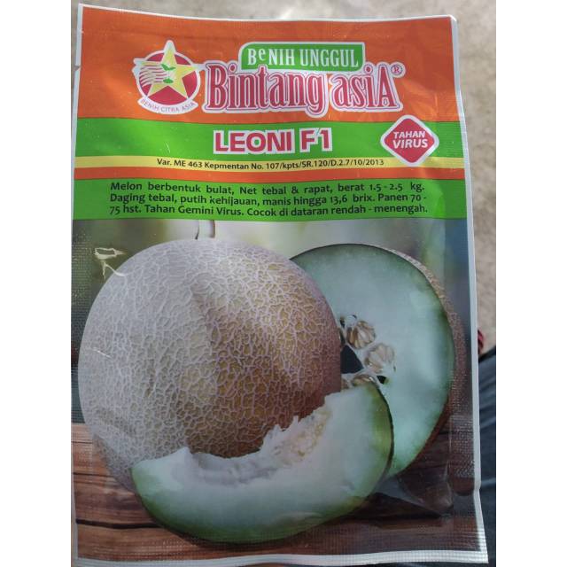 Jual MELON LEONI F1 | Shopee Indonesia