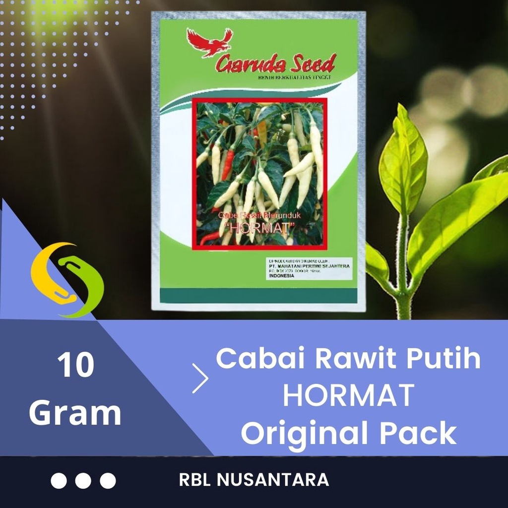 Jual ORIGINAL PACK Bibit Cabe Rawit Setan HORMAT 10 gram Benih Cabai ...
