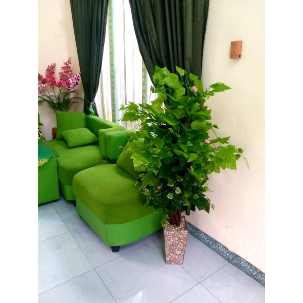 Jual bunga sudut | Shopee Indonesia