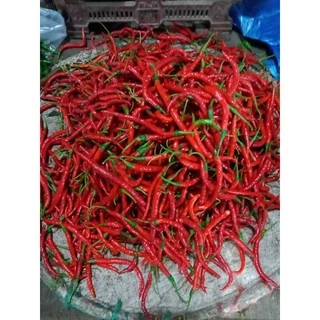 Jual Cabe Merah Terlengkap & Harga Terbaru Desember 2025 | Shopee Indonesia