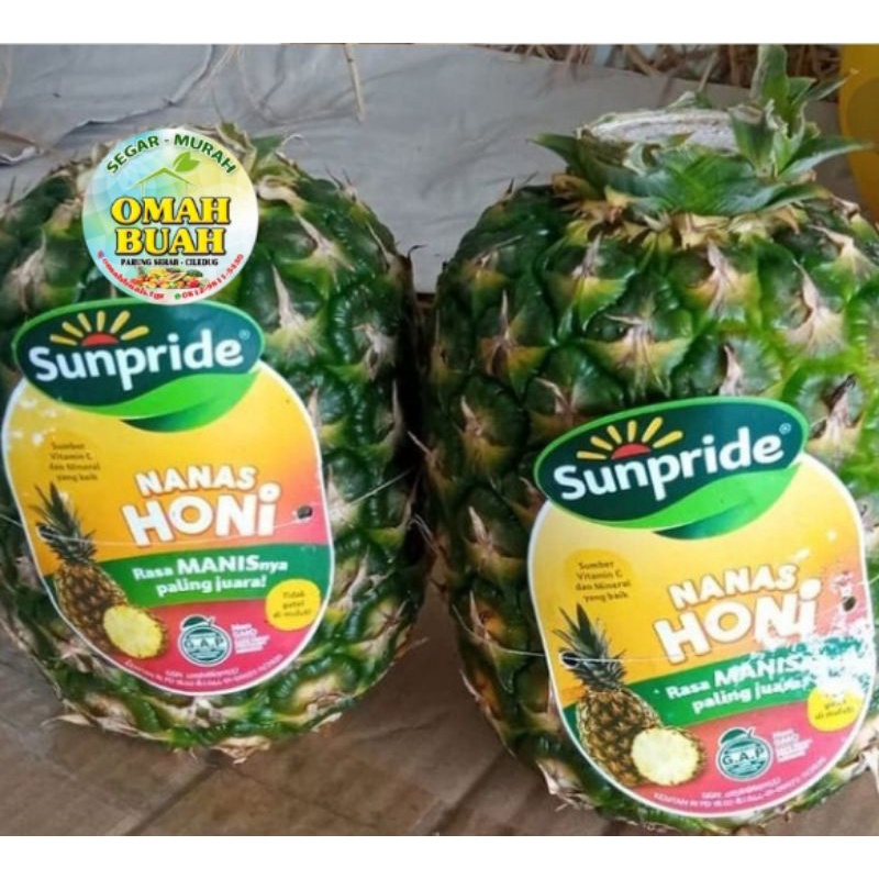 Jual Nanas Honi Madu Sunpride 1 Buah | Shopee Indonesia