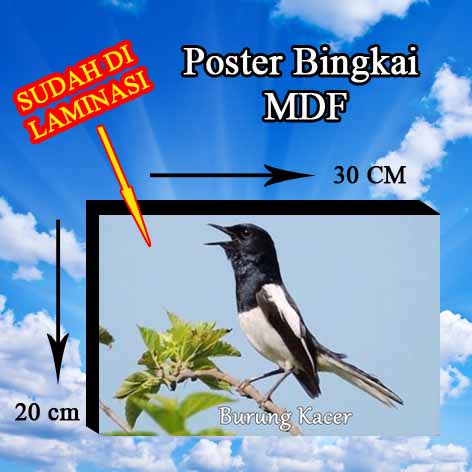 Jual Poster hiasan dinding burung kacer bingkai mdf ukuran 20cm x 30cm ...