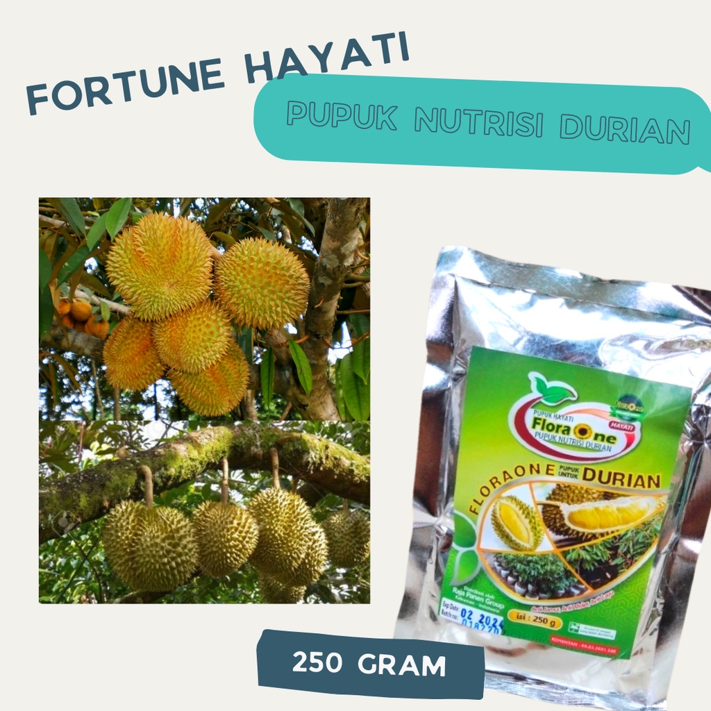 Jual pupuk durian yang bagus, pupuk durian agar tidak rontok, perangsang pohon durian agar cepat ...