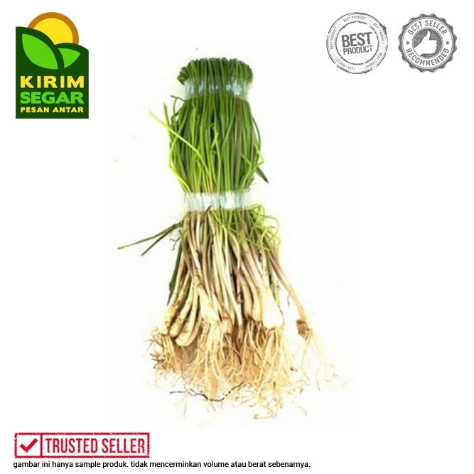 Jual Lengkio / Lengkio Segar / Bawang Batak / Lokio / Perikat | Shopee ...