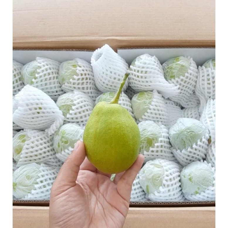 Jual Buah Pear Xiang lee / manis / per kg | Shopee Indonesia