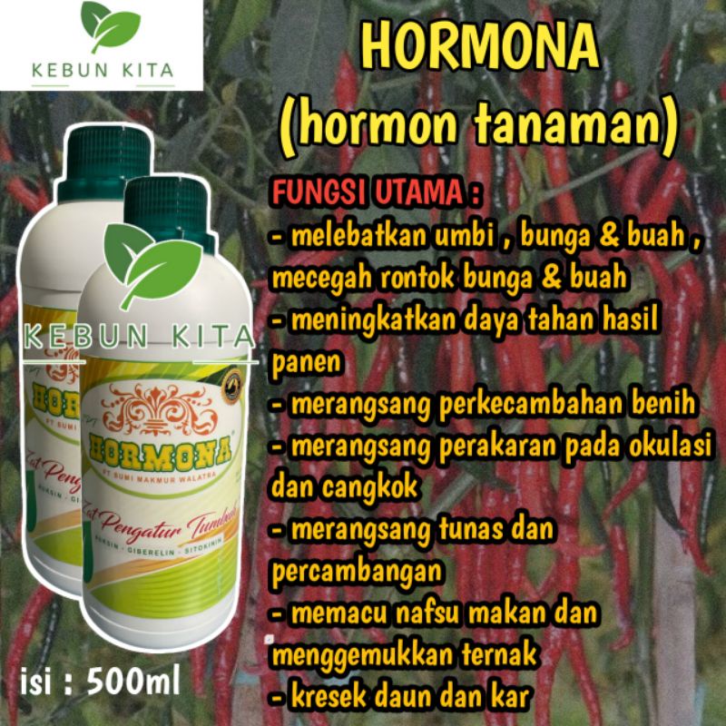 Jual HORMONA (hormon tanaman) | Shopee Indonesia